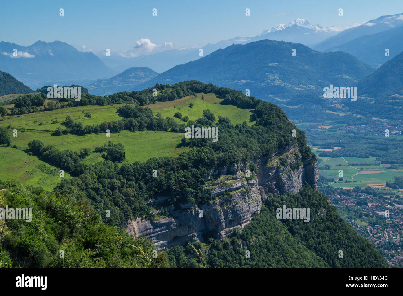 Chartreuse color hi-res stock photography and images - Alamy