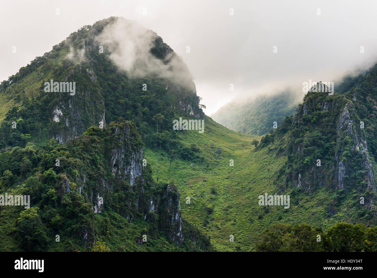 High mountain ridge in thick fog Stock Photo - Alamy