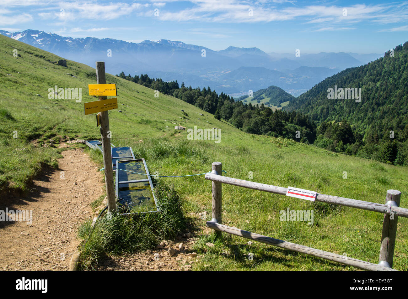 Chartreuse hi-res stock photography and images - Alamy