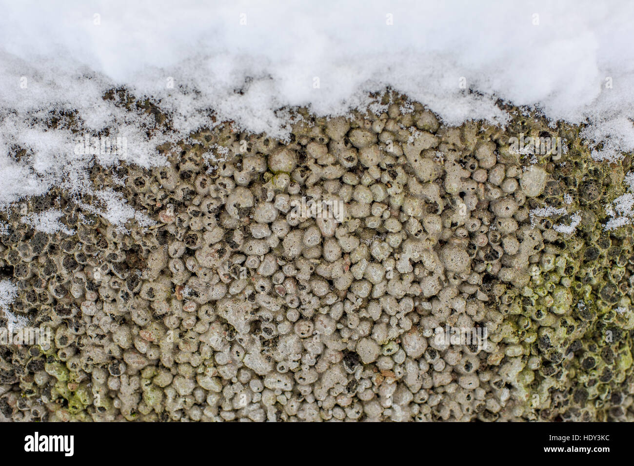 winter stone texture covered with snow, frame background in wintertime ...