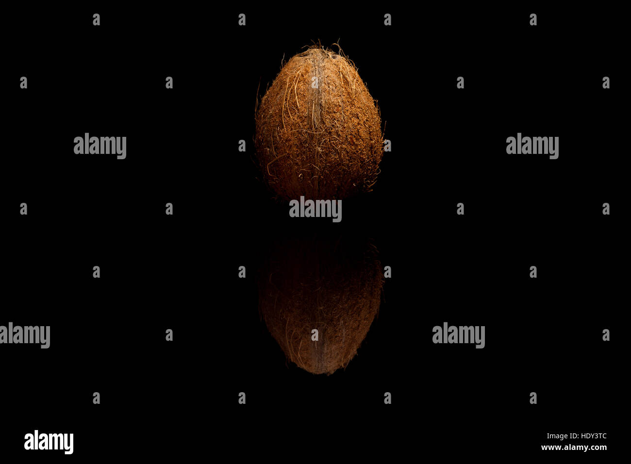 Whole brown coconut isolated on black reflective background Stock Photo ...