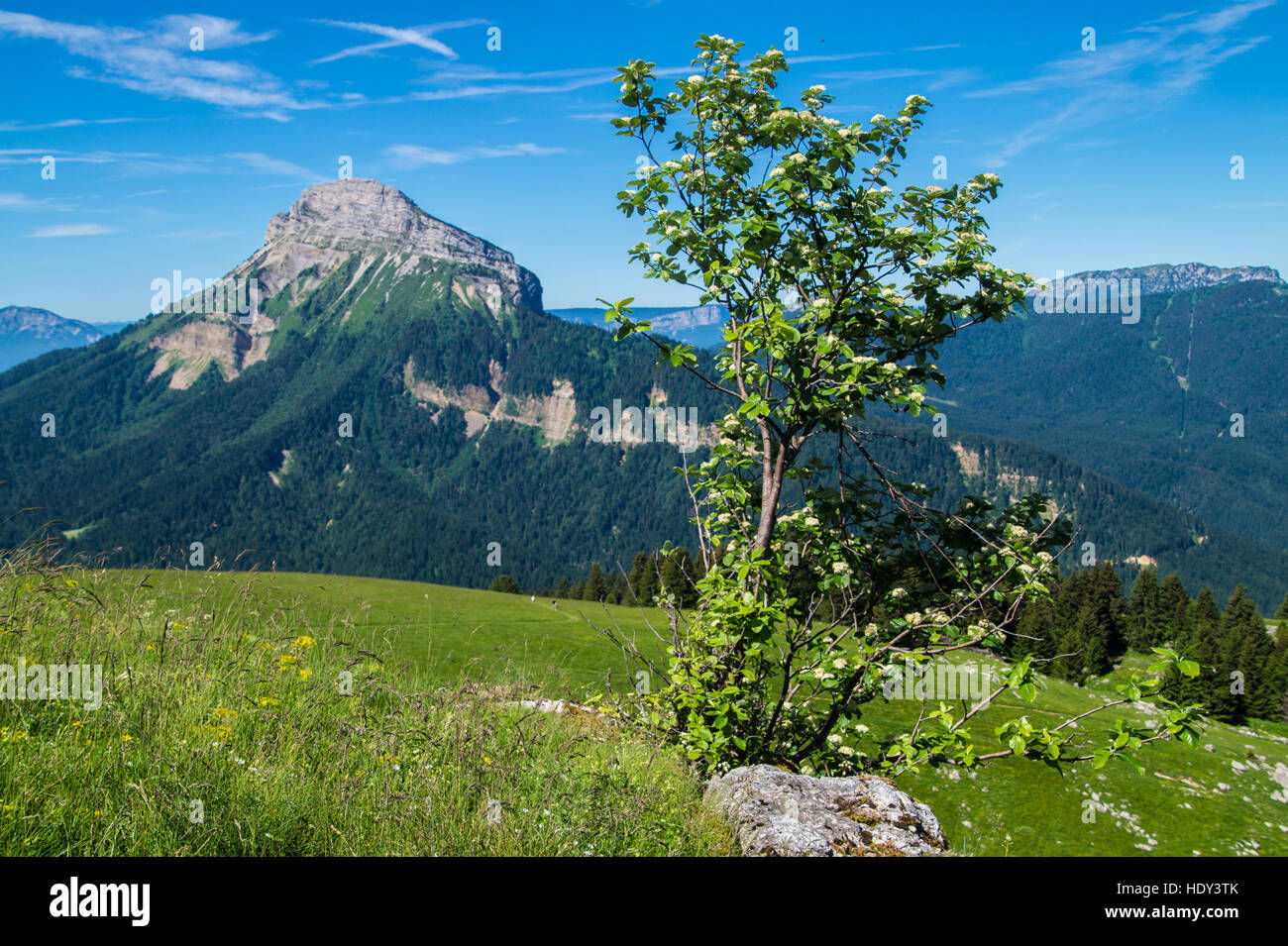Chartreuse mountain range hi-res stock photography and images - Alamy