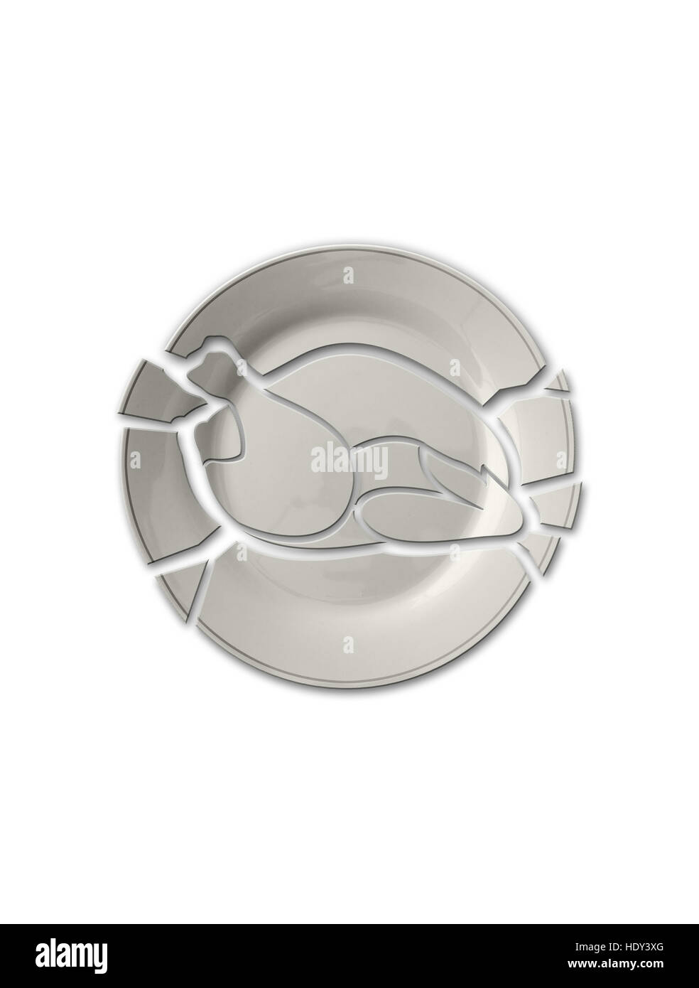 Isolated broken white plate in the shape of chicken meat on solid white ...