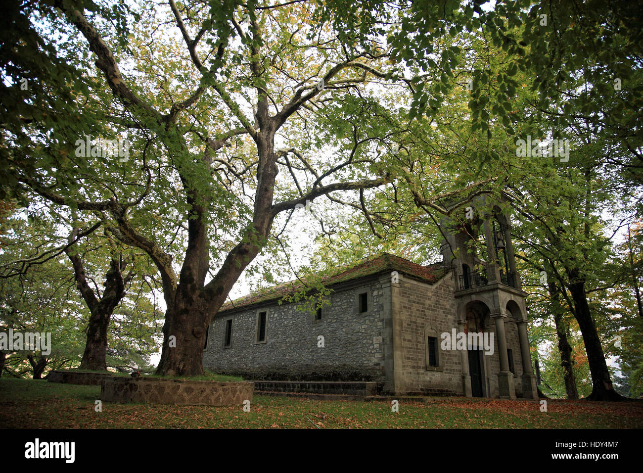 Nature landscape landscape park with trees hi-res stock photography and ...