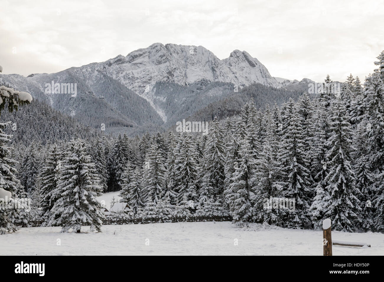 Giewont famous mountain in hi-res stock photography and images - Alamy