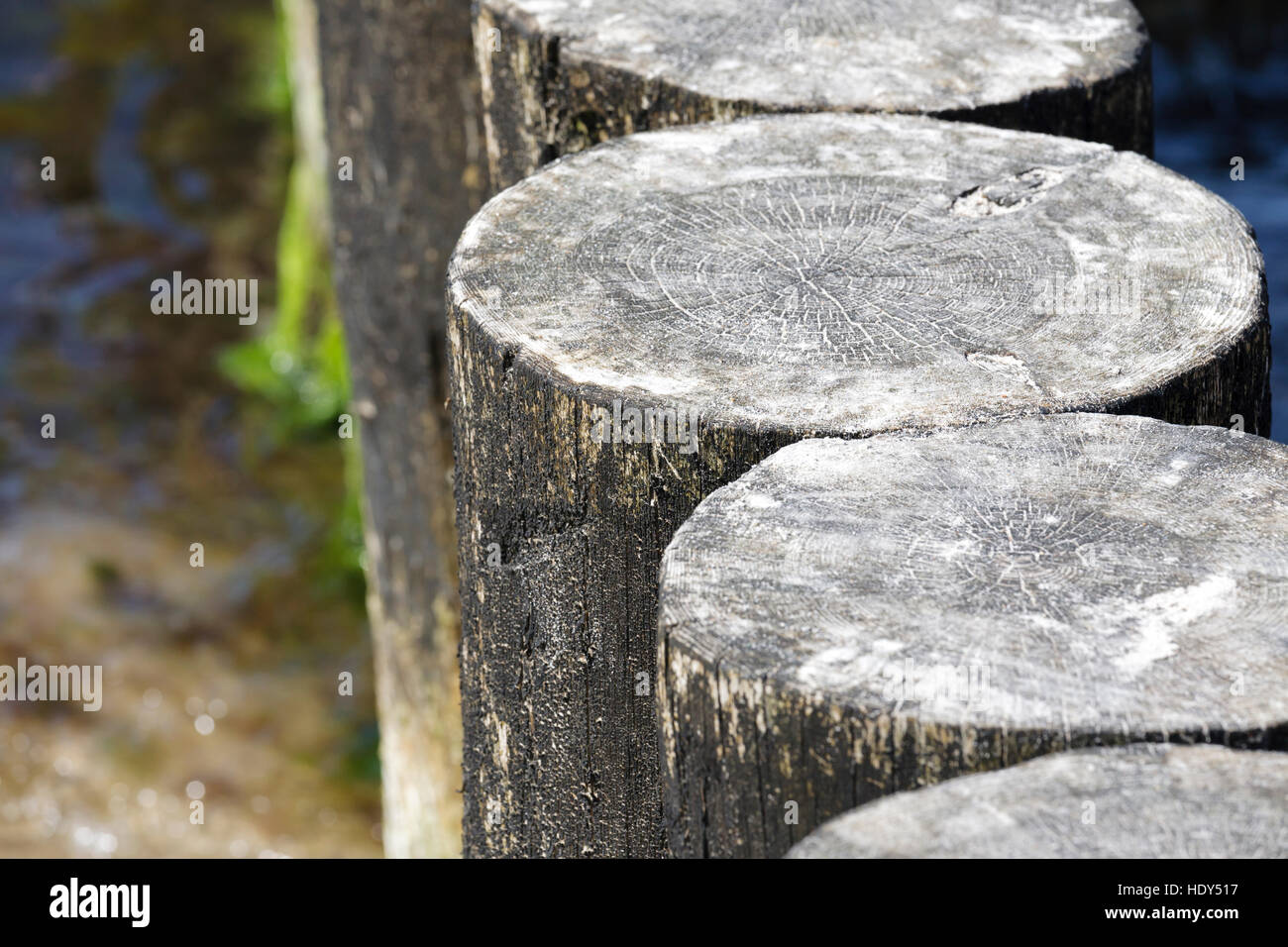 Wooden poles timber hi-res stock photography and images - Alamy