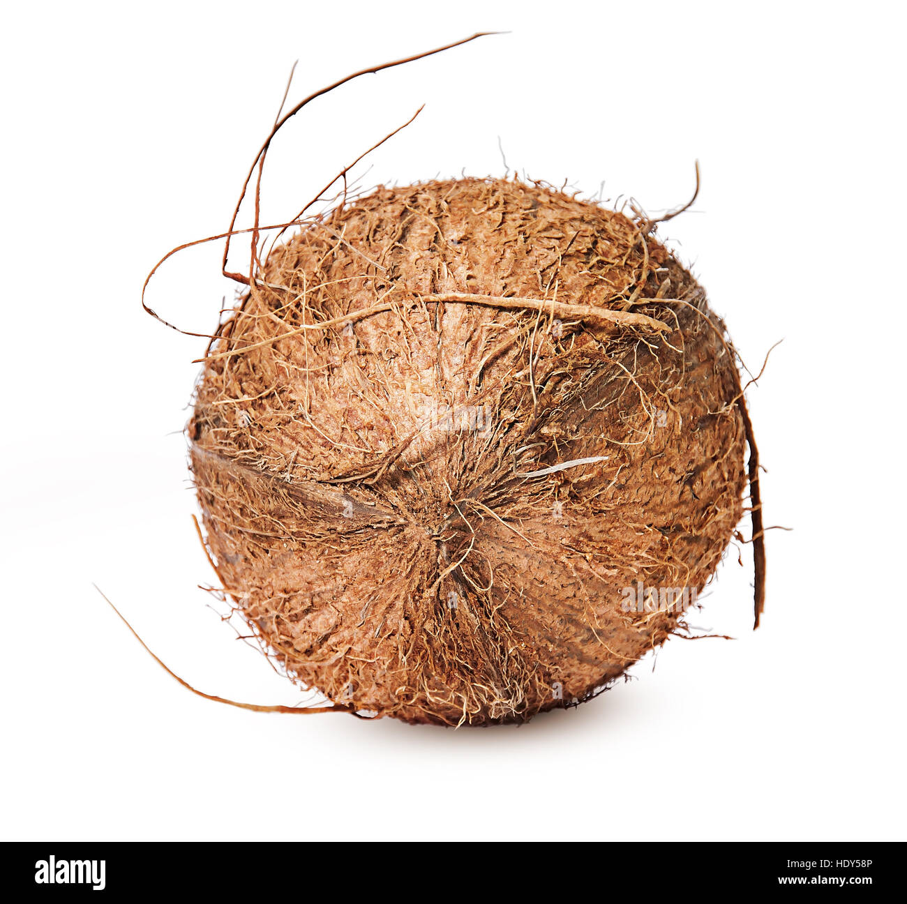 Coconut lying on the side of top isolated on white background Stock ...