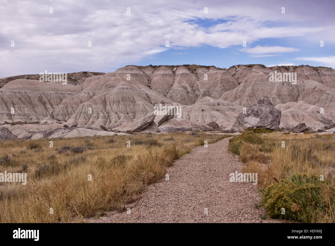 Path leading to the geological formations that make up the starkly ...