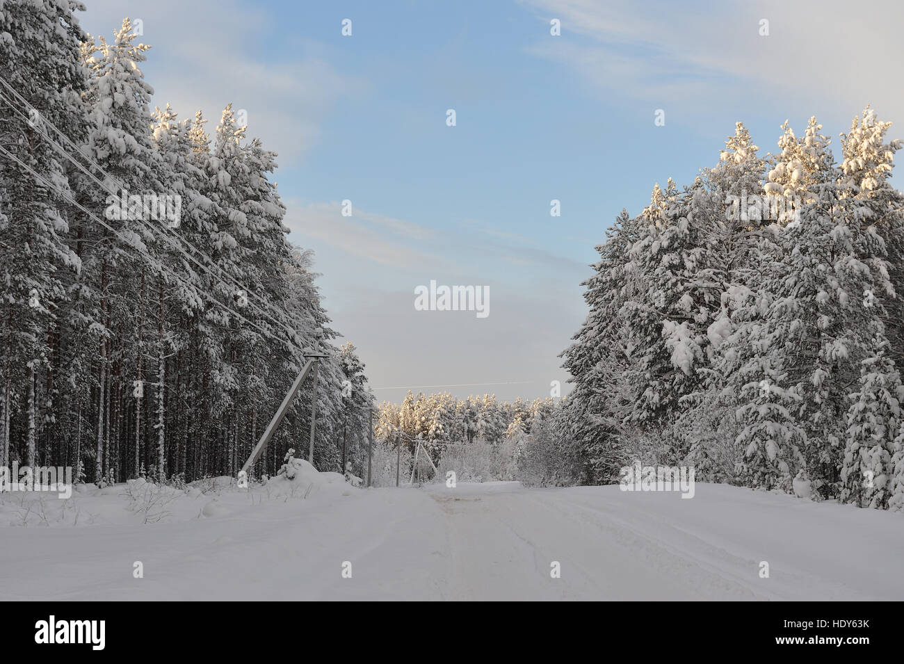 Snowy road trough wintry forest Stock Photo - Alamy