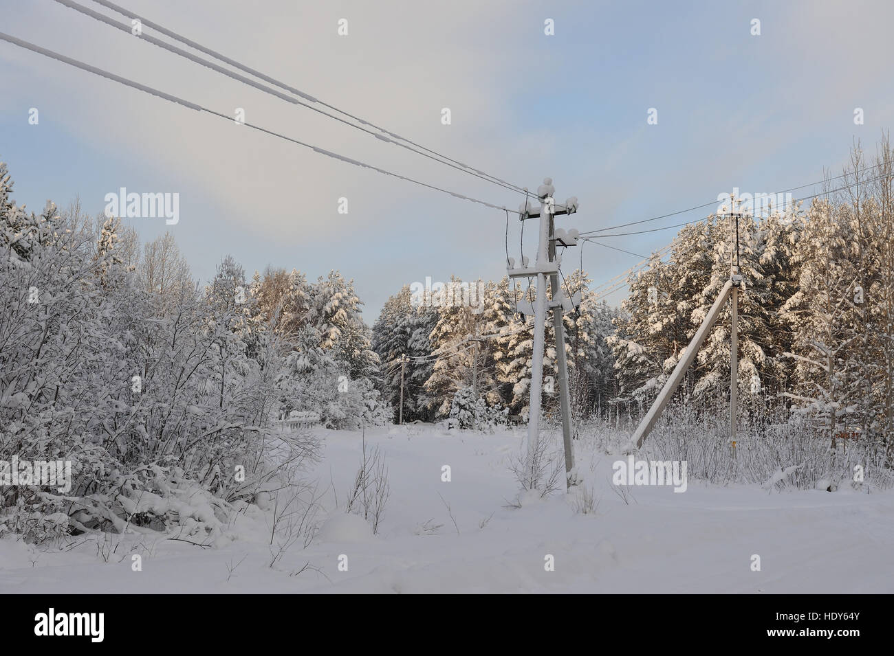Power lines in the snowy frosty forest Stock Photo - Alamy