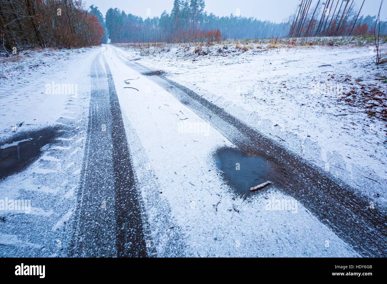 Sandy road in winter forest, bad weather landscape. European forest ...