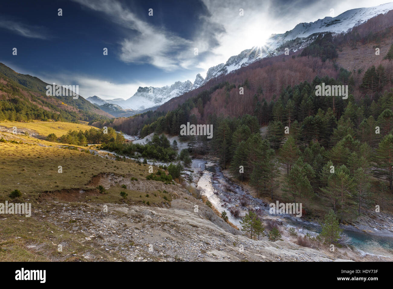 Snowed Alanos mountains over the forest Stock Photo - Alamy
