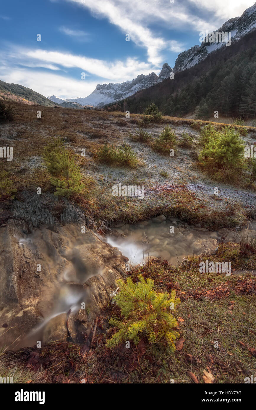Snowed Alanos mountains over the forest Stock Photo - Alamy
