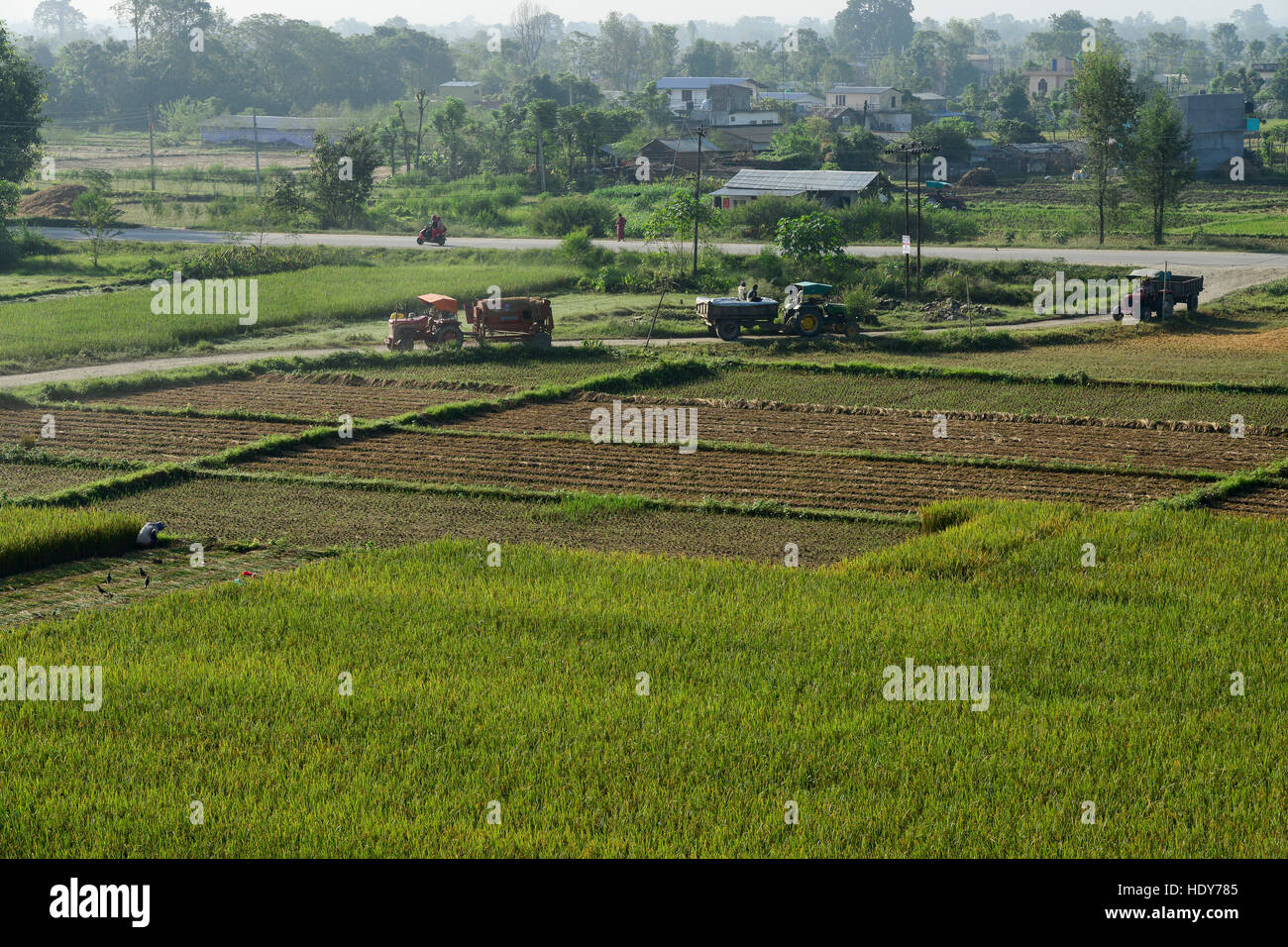 Indian farming country hi-res stock photography and images - Alamy