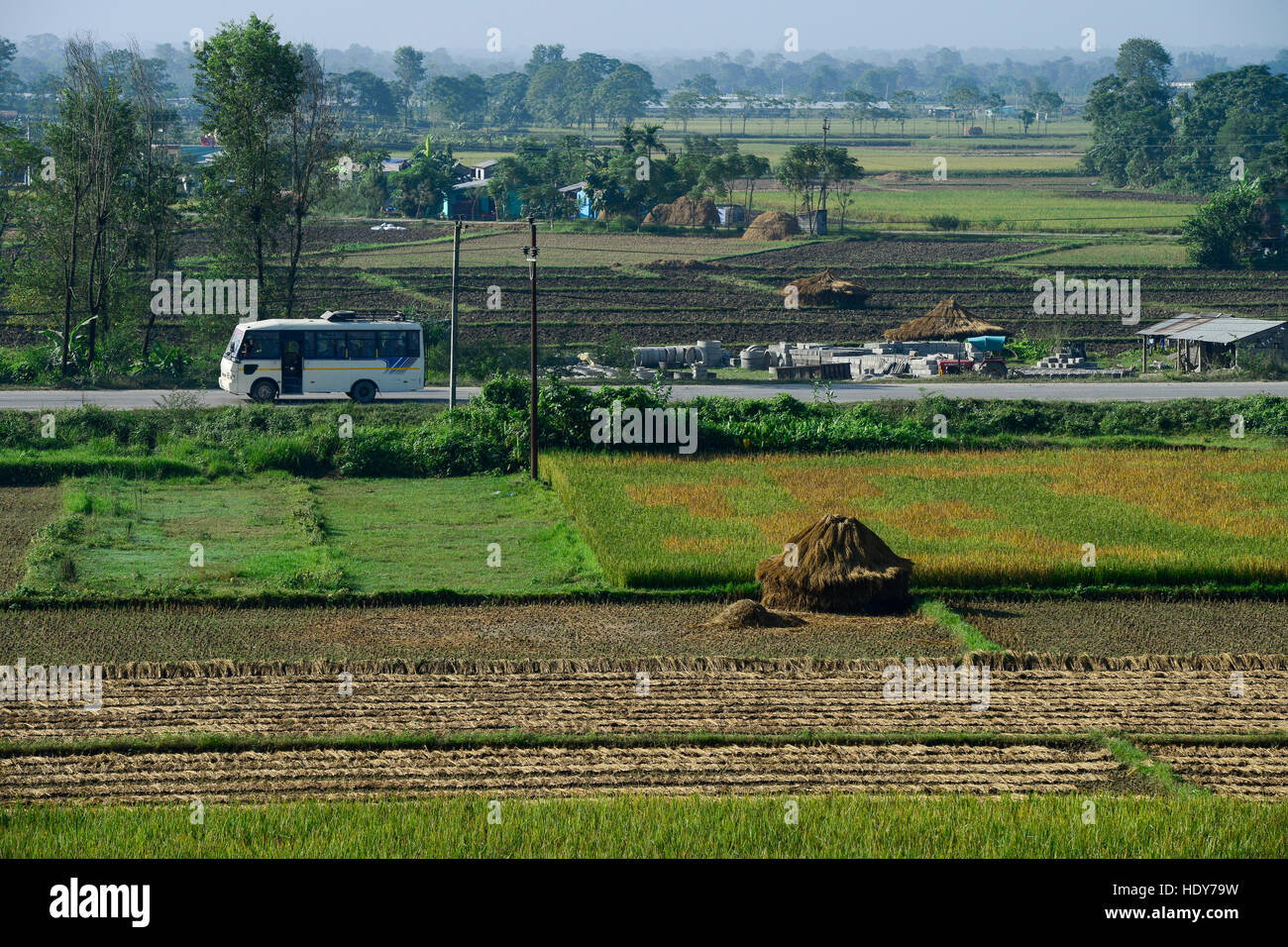 Die terai hi-res stock photography and images - Alamy