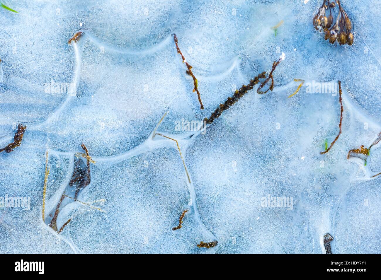 Ice on water texture. Close up of winter frozen water surface Stock ...