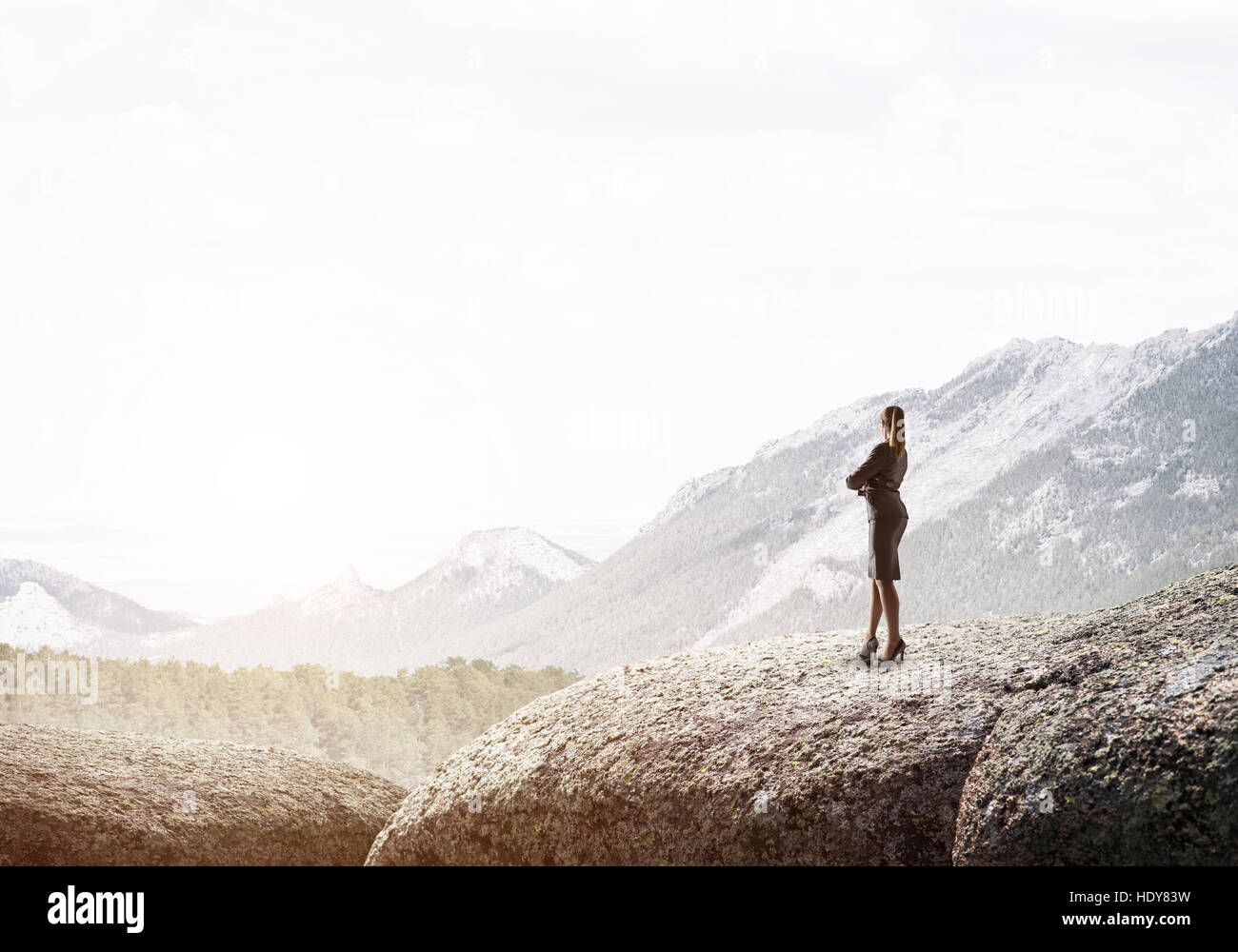 Achieving top of success Stock Photo - Alamy