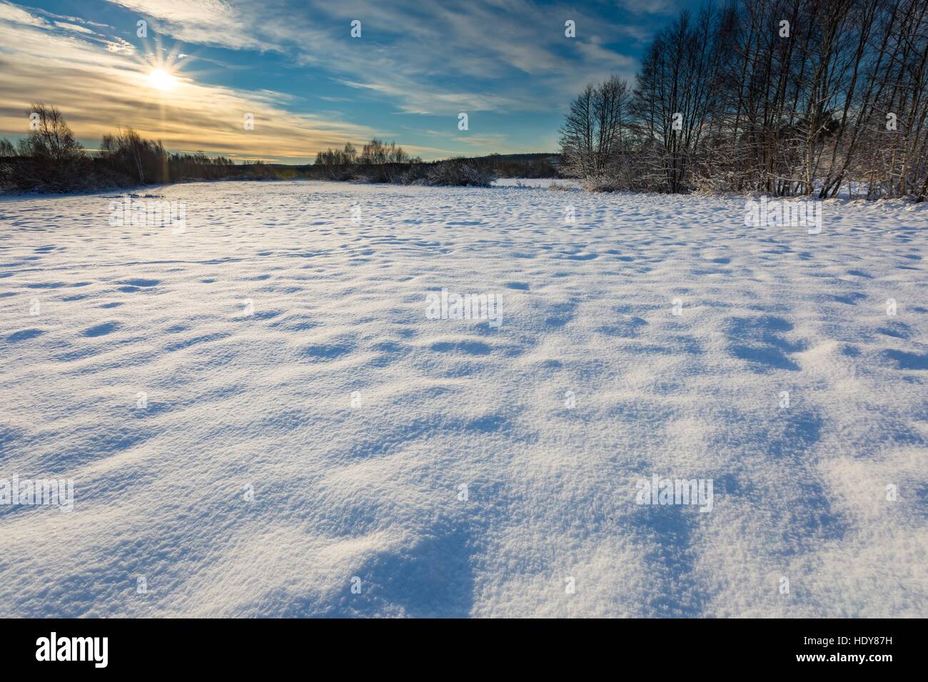 Beautiful winter field, road and trees landscape. Snow covered polish ...