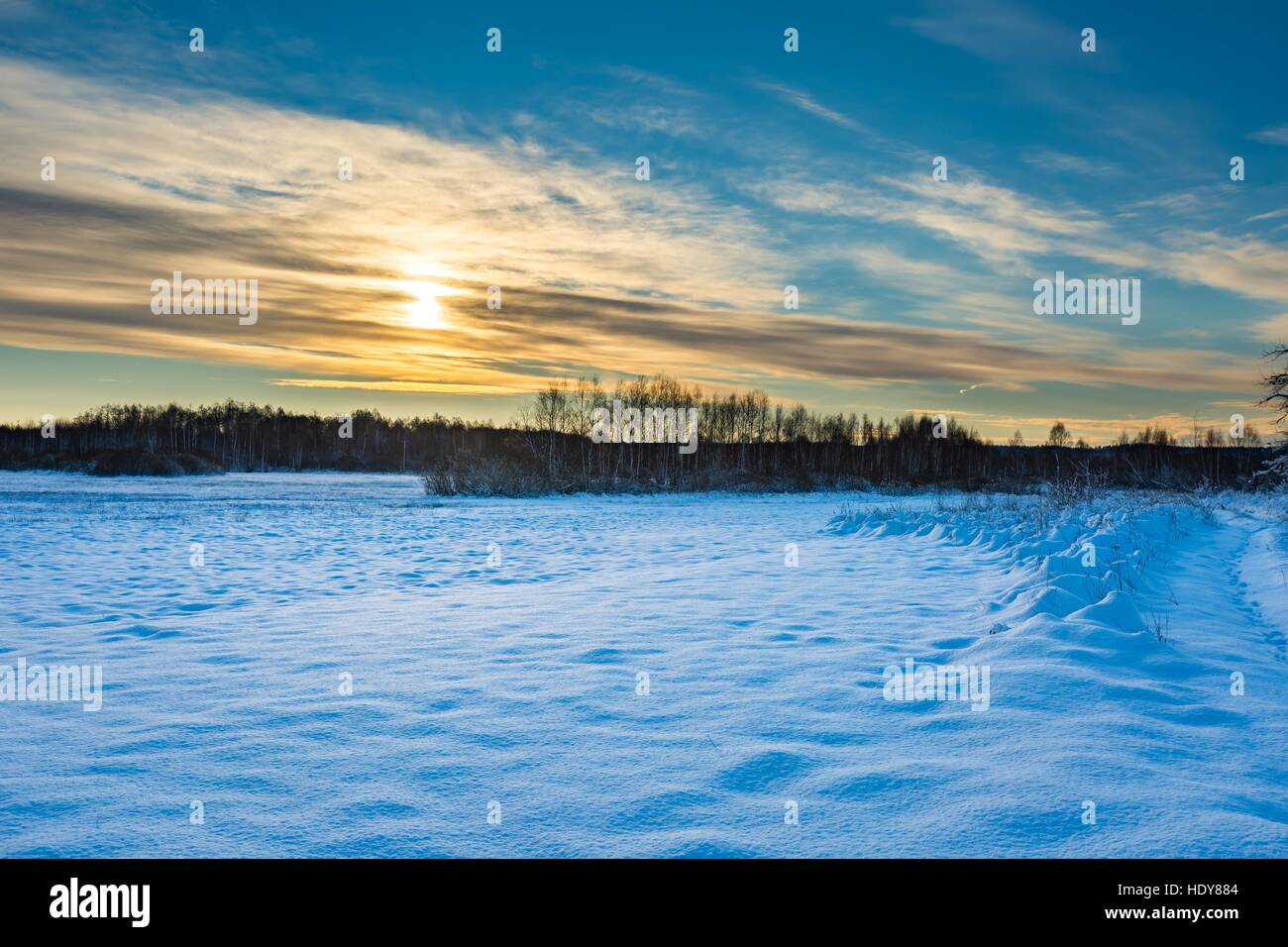 Beautiful winter field and trees landscape. Snow covered polish ...