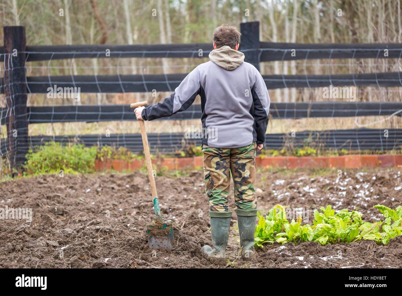 Man digging with spade hi-res stock photography and images - Alamy