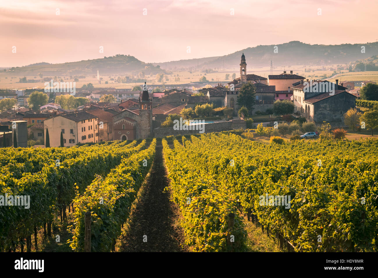 View of Soave (Italy) surrounded by vineyards that produce one of the ...