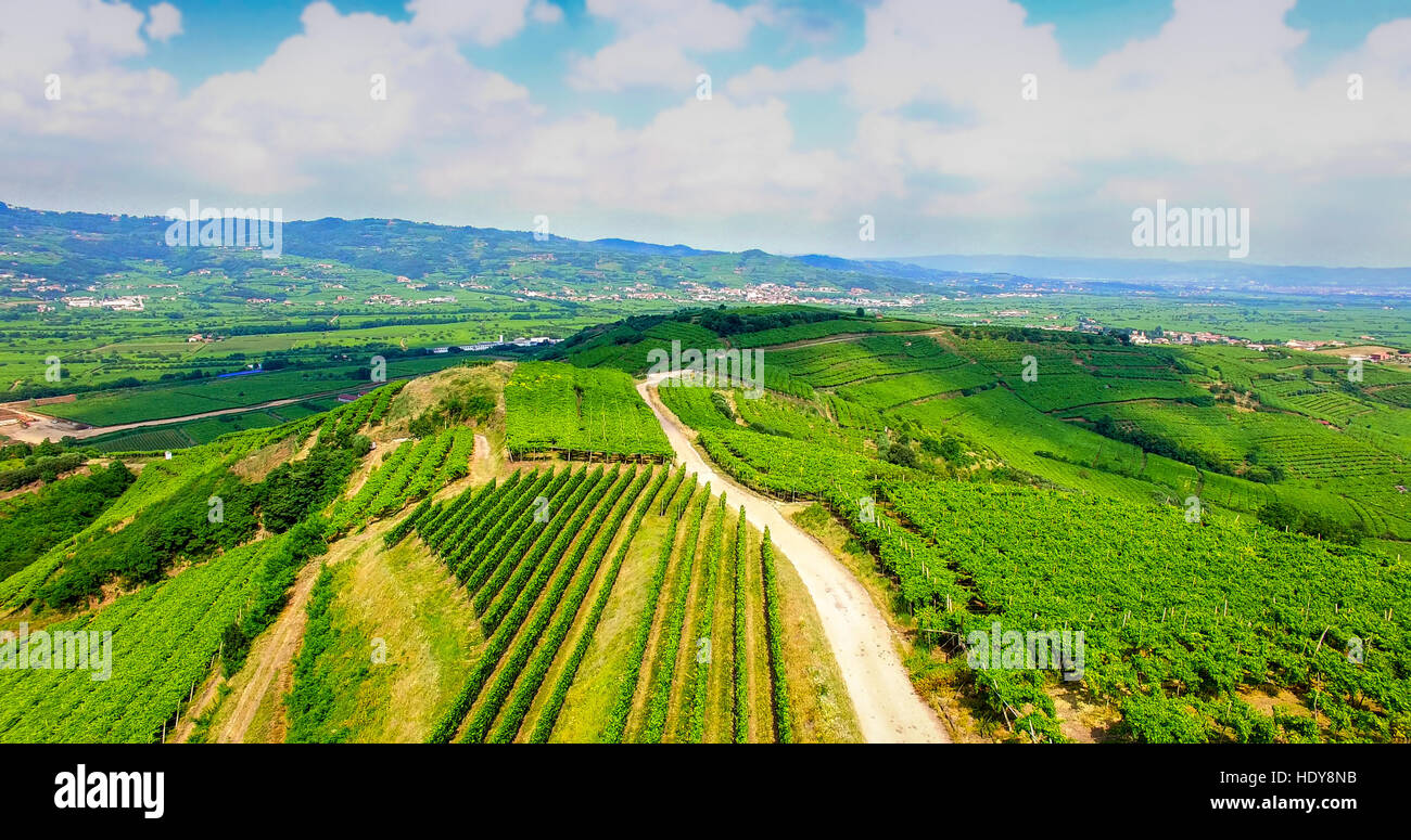 Aerial view of the vineyards on the Italian hills Stock Photo - Alamy