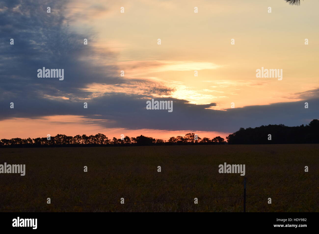 Morning Sun and Clouds over the fields Stock Photo - Alamy