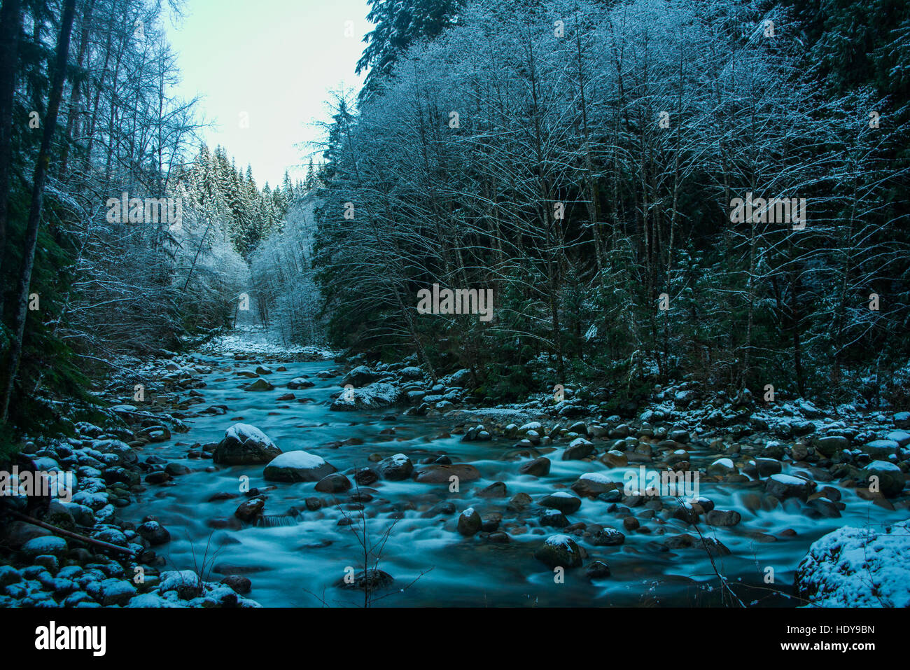 Pacific Spirit Regional Park High Resolution Stock Photography and ...