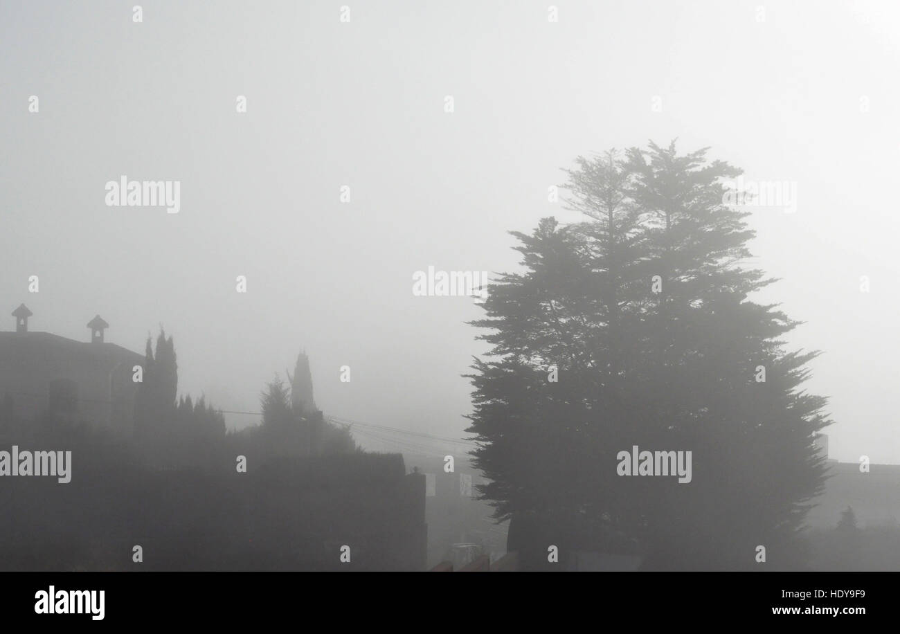 Thick fog, light beam hi-res stock photography and images - Alamy