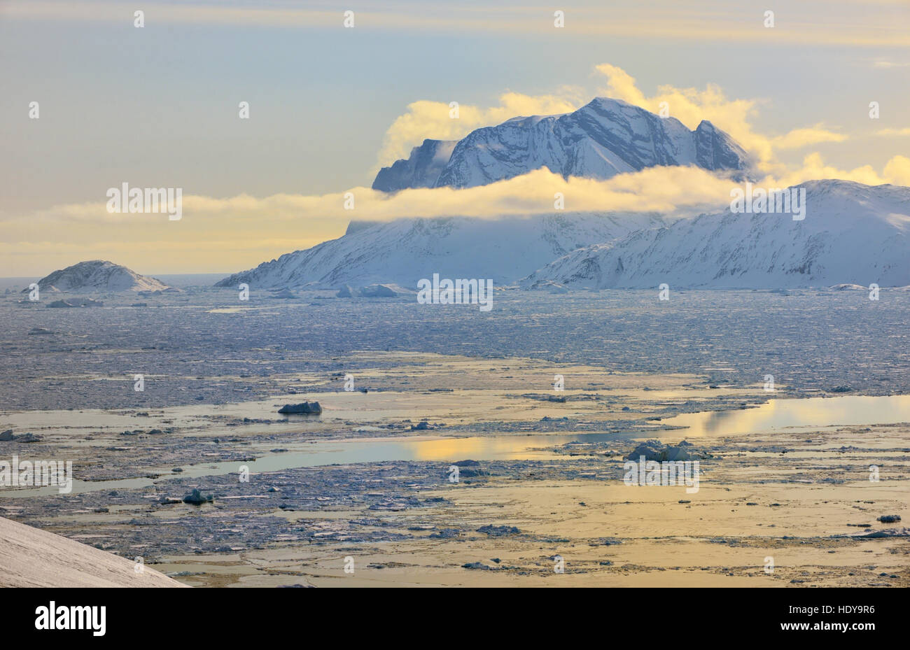 Greenland Fjord with Sea Ice in spring time Stock Photo - Alamy
