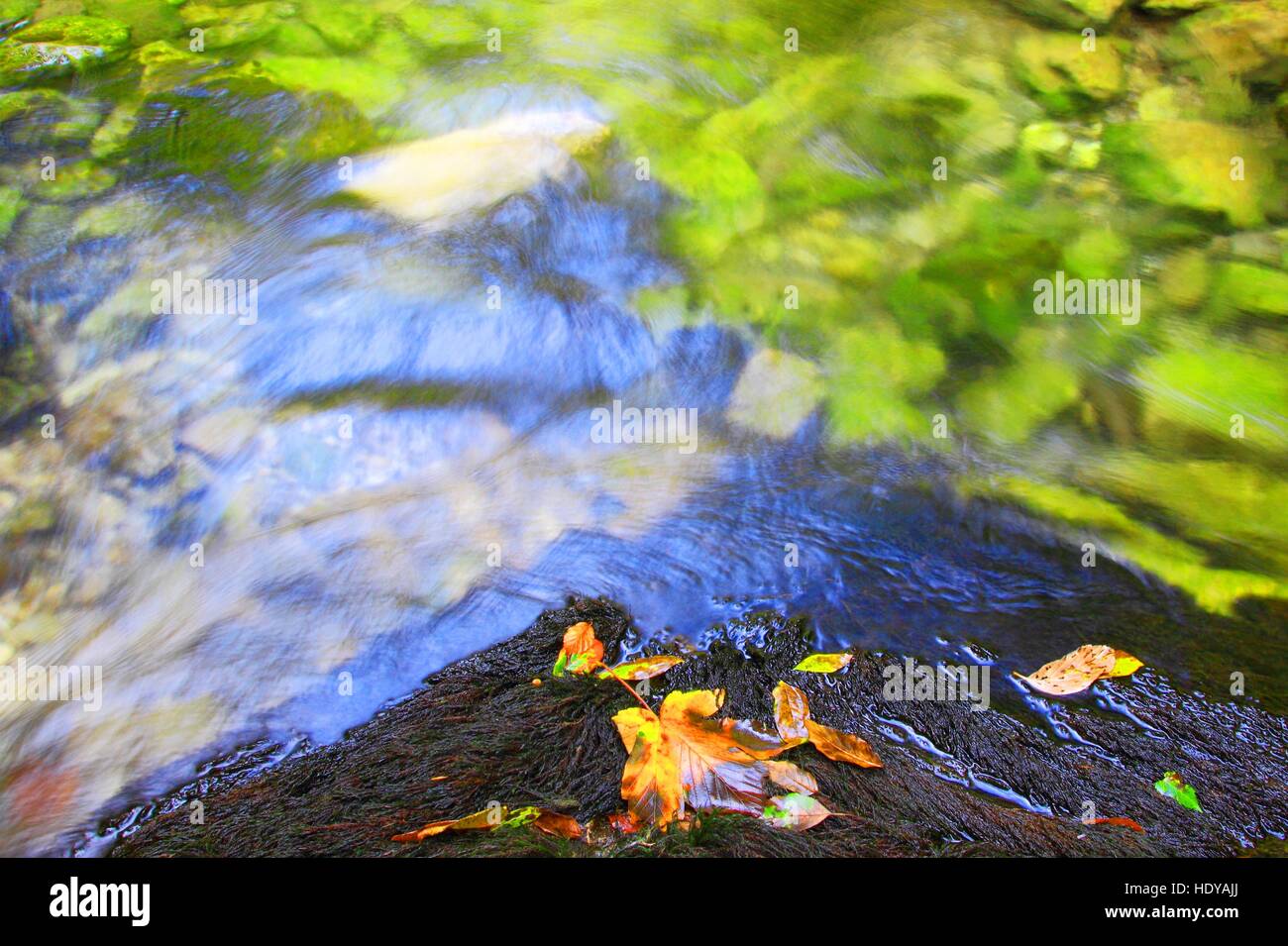 Fall is comming hi-res stock photography and images - Alamy