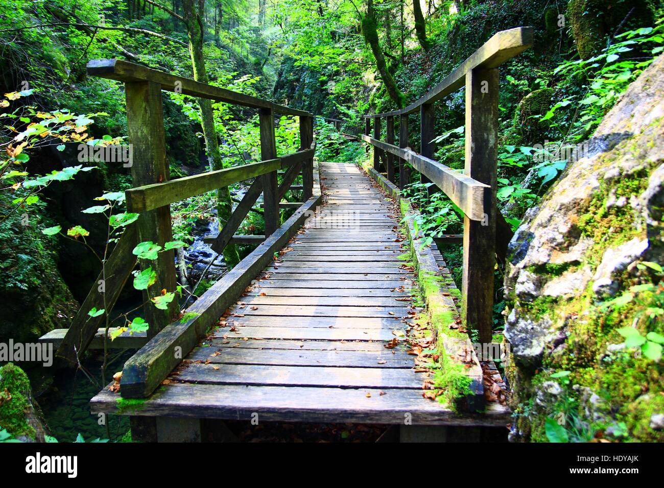 Wooden walking path in Kamacnik, Croatia Stock Photo - Alamy