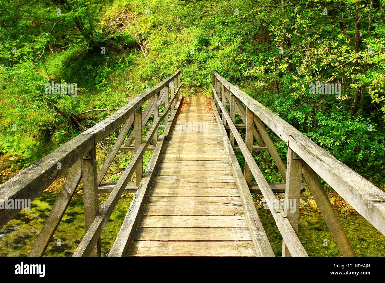 Wooden walking path in Kamacnik, Croatia Stock Photo - Alamy