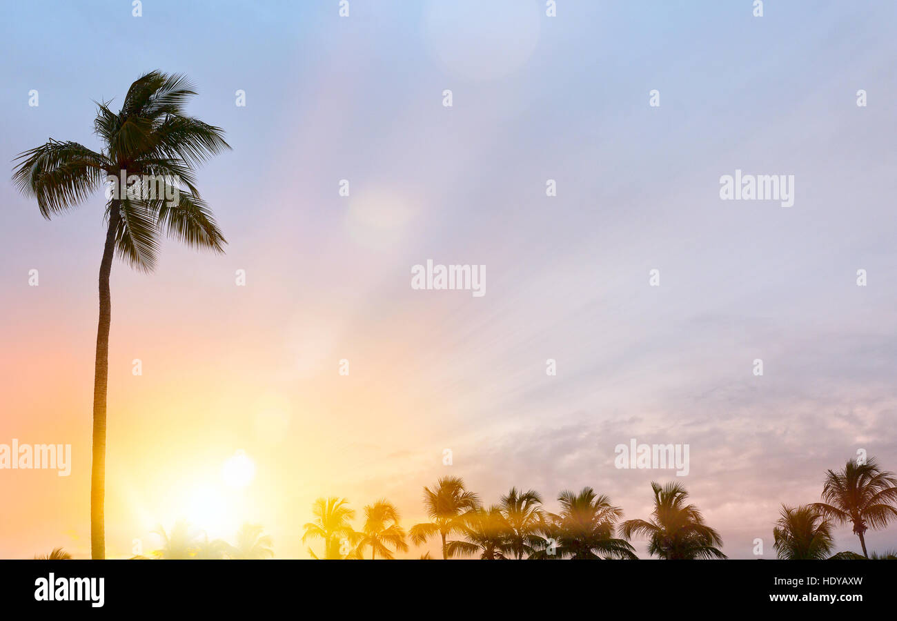 Peaceful tropical background; Sunset in the tropic Stock Photo - Alamy