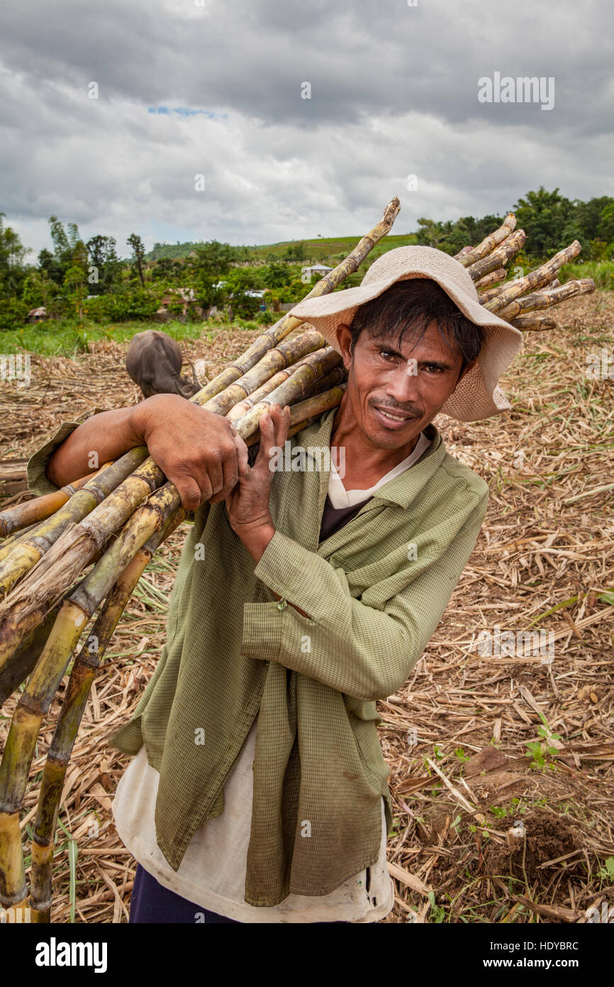 Filipino Farmer Painting
