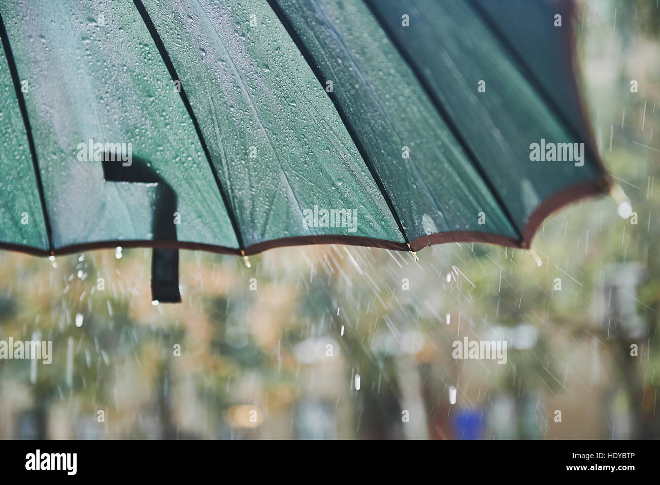 Rain drops falling from the umbrella. Cloudy, damp Stock Photo - Alamy