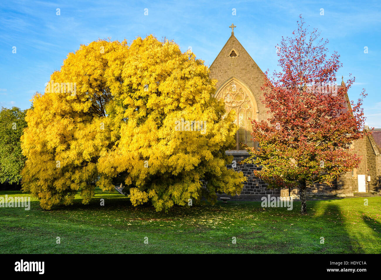 Australia Landscape : Autumn colors in Ballarat Stock Photo - Alamy