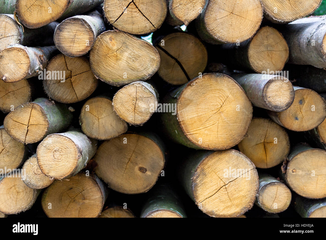 Pile of logs stacked on top of each other Stock Photo - Alamy