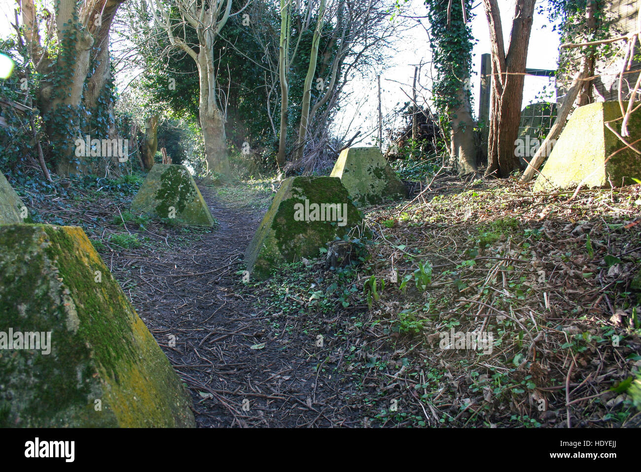 Anti tank defence stones, Dragons teeth, square-pyramidal ...