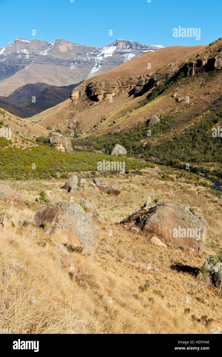 blur in south africa valley of desolation dirty road rock tree and sky ...