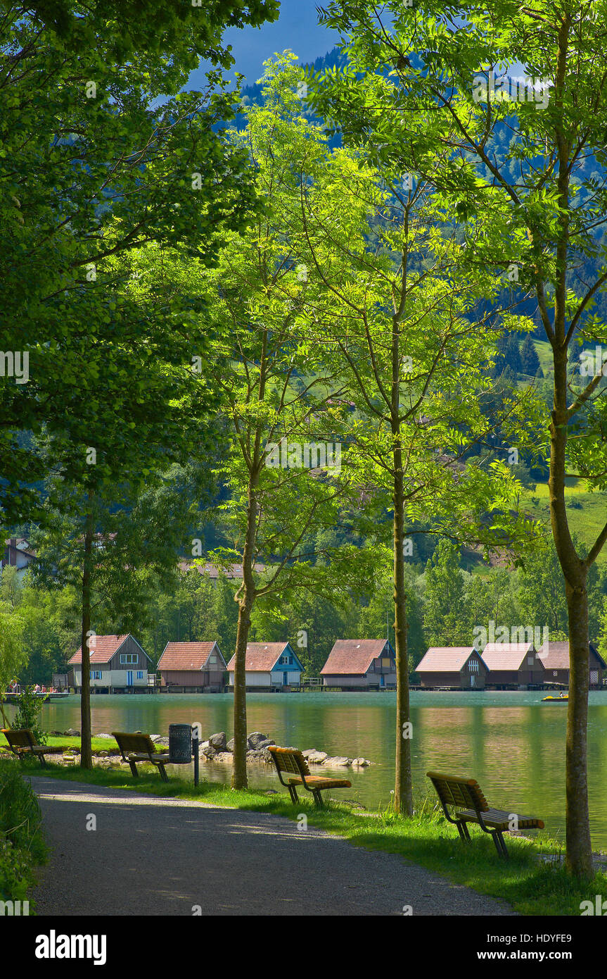 Buhl, Lake Buhl, Alpsee lake, Allgau, Bavaria, Germany, Europe Stock ...