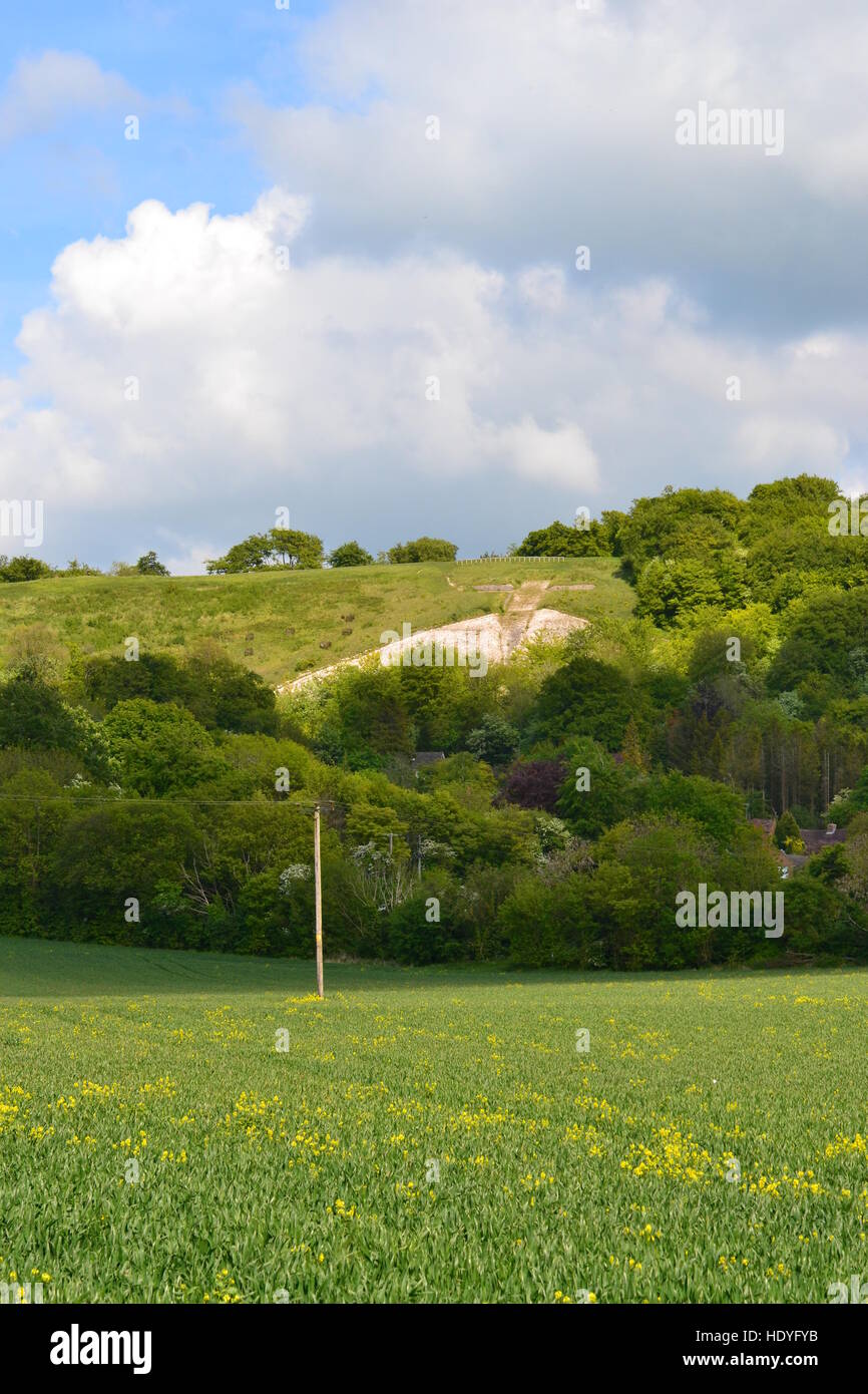 Whiteleaf cross hill hi-res stock photography and images - Alamy