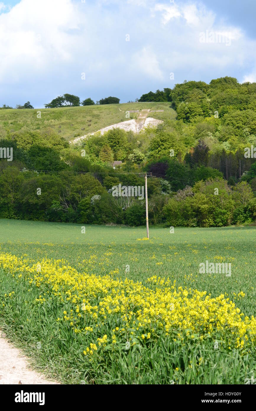 Whiteleaf Cross High Resolution Stock Photography and Images - Alamy