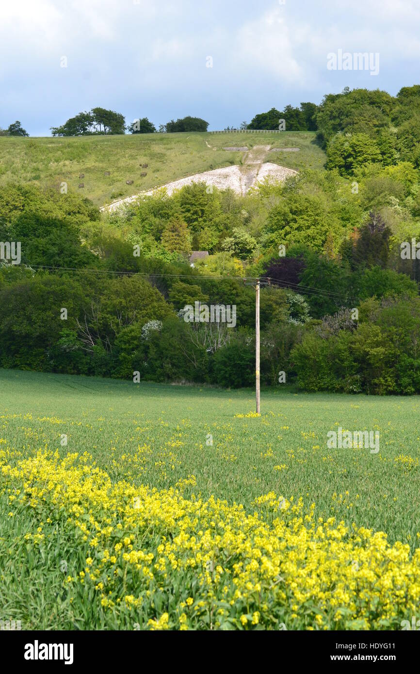 Whiteleaf cross hi-res stock photography and images - Alamy