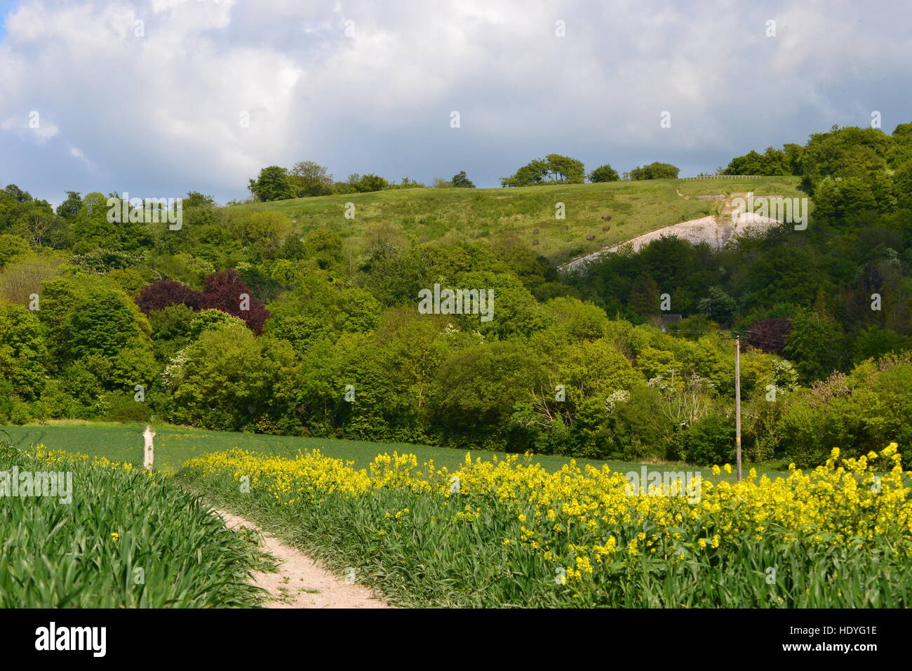 Whiteleaf cross hi-res stock photography and images - Alamy