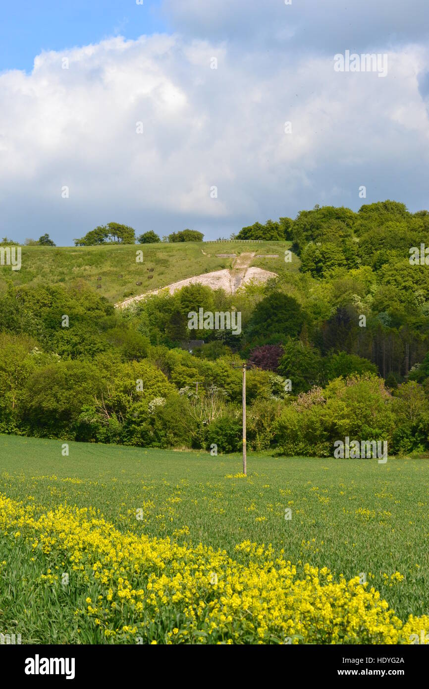 Whiteleaf cross hi-res stock photography and images - Alamy