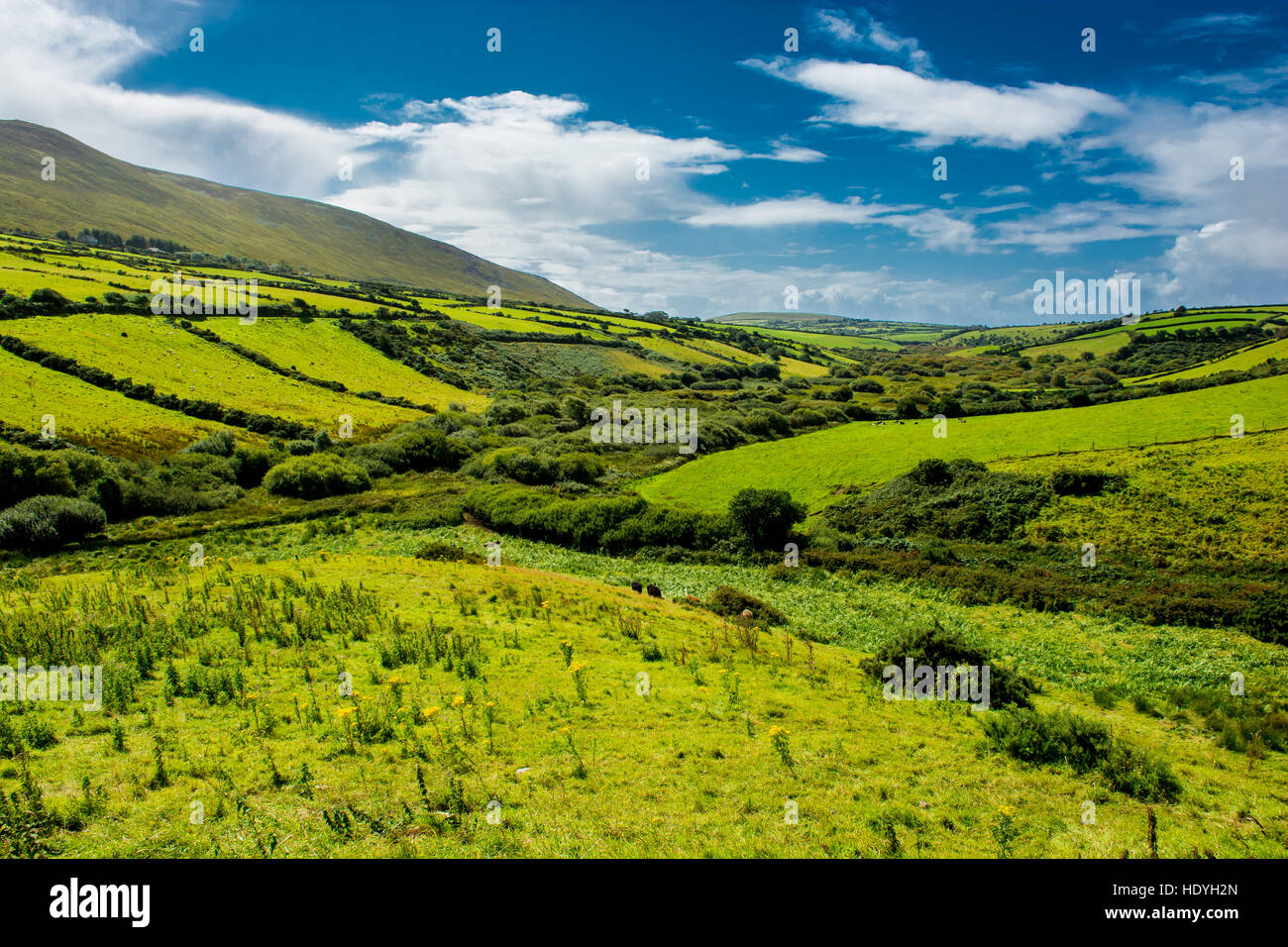 Rural Landscape With Pastures In Ireland Stock Photo - Alamy