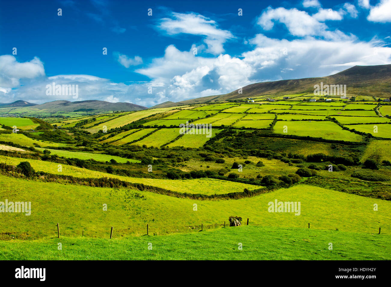 Rural Landscape With Pastures In Ireland Stock Photo - Alamy
