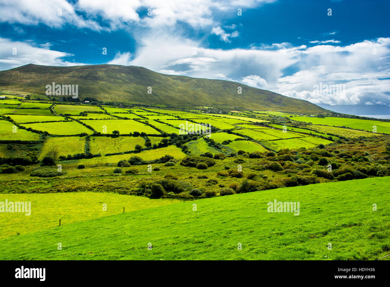 Rural Landscape With Pastures In Ireland Stock Photo - Alamy