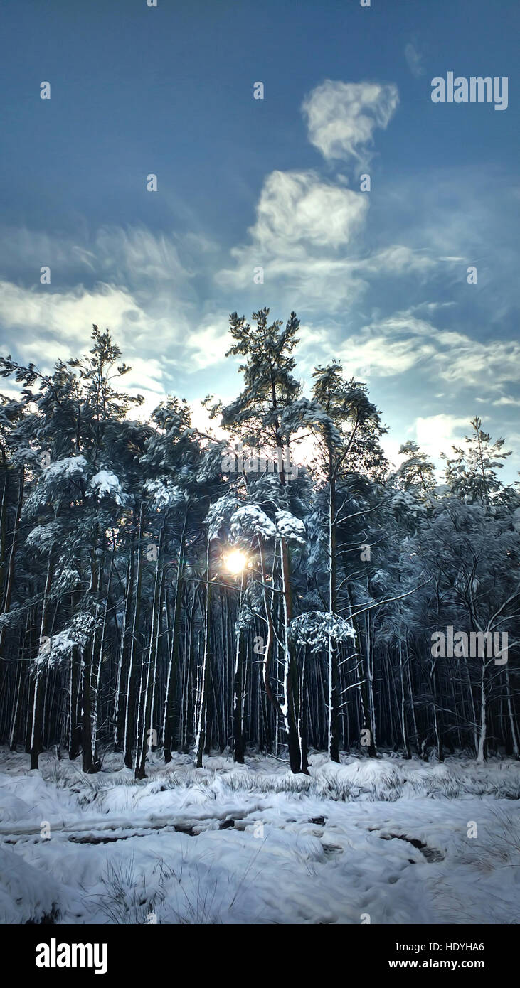 Atmospheric moody nature hi-res stock photography and images - Alamy